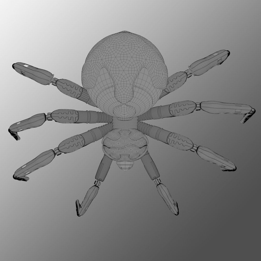 3d Model Spider H-light
