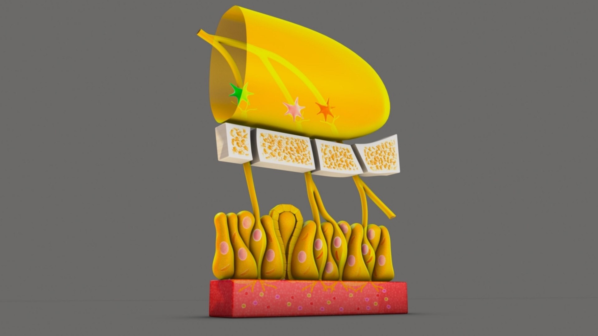 Nasal receptors 3D model - TurboSquid 1260280