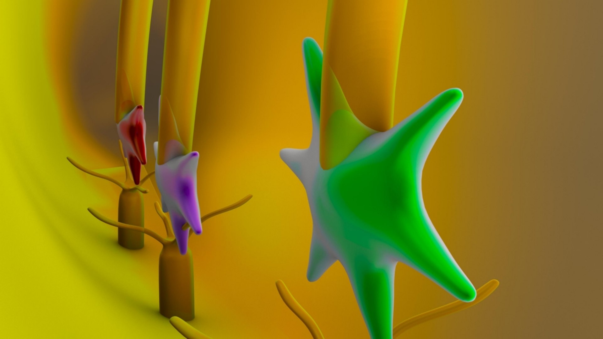 Nasal receptors 3D model - TurboSquid 1260280