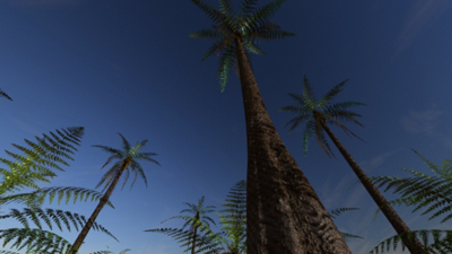 3d Ferns Trees Pre-historic Model