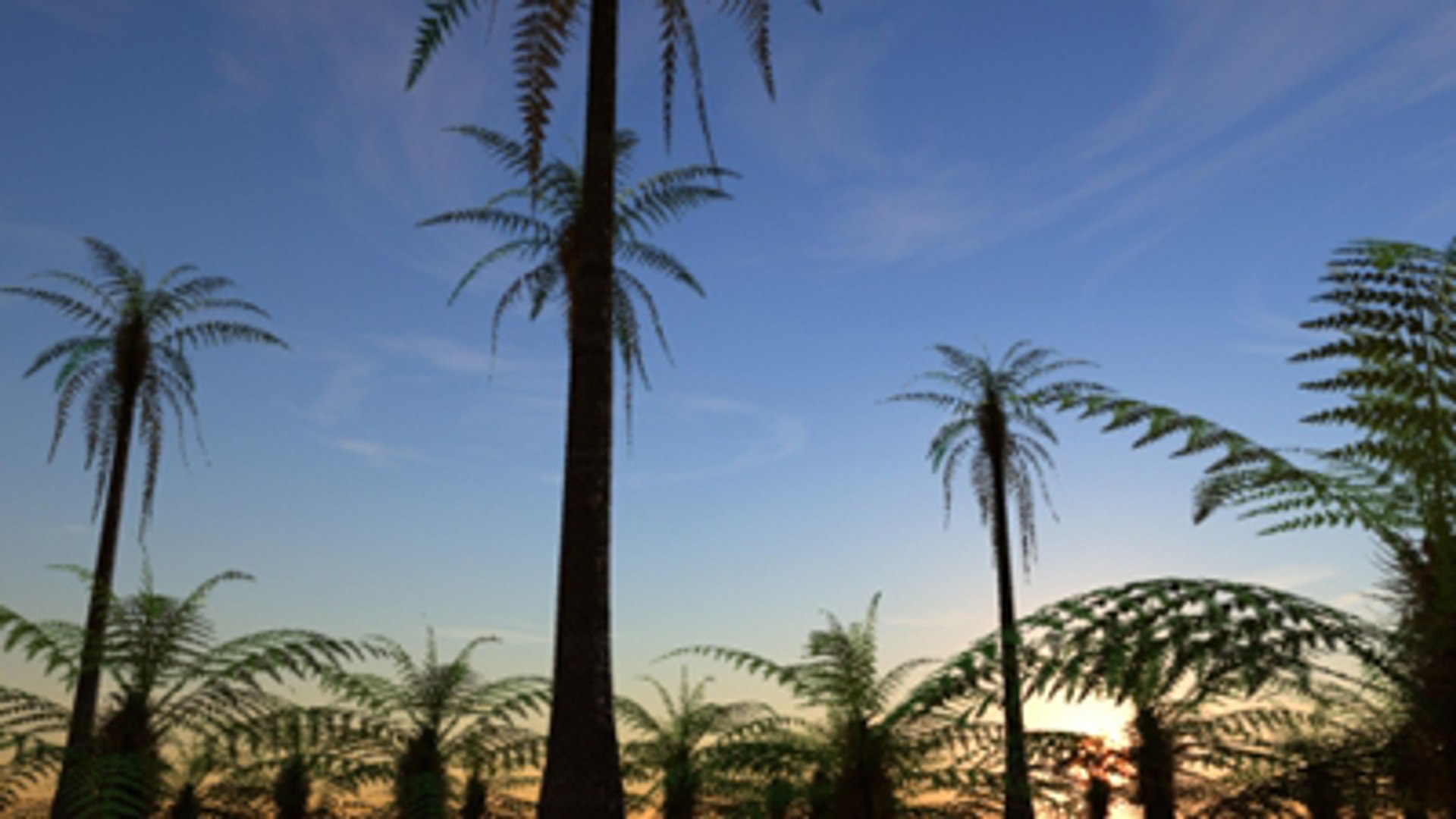 3d Ferns Trees Pre-historic Model