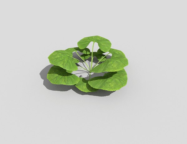 3d plant model