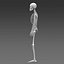 3d Model Poseable Human Skeleton Cad