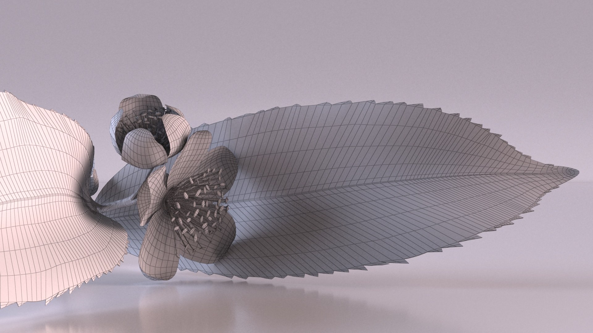 Sprig Flower Tea 3D Model - TurboSquid 1685212