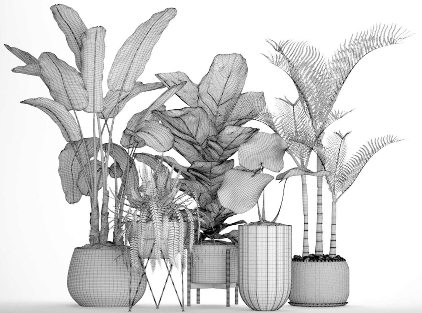 3D Model Plants - TurboSquid 1168498