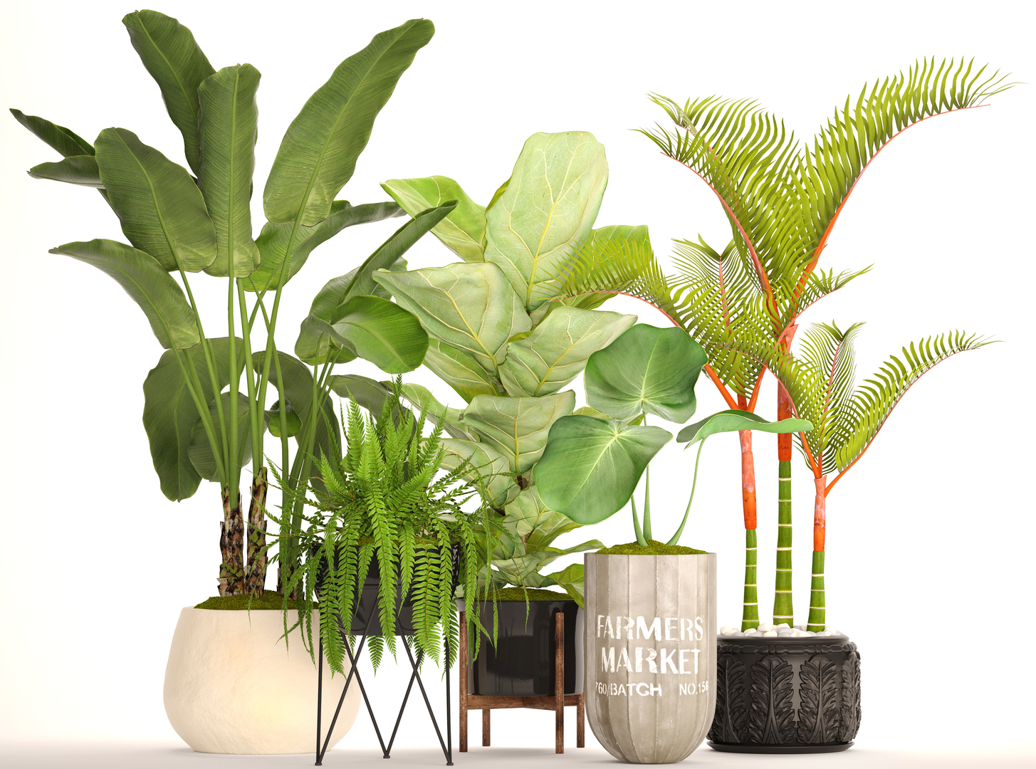 3D model plants - TurboSquid 1168498