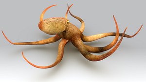 Octopus 3D Models for Download | TurboSquid