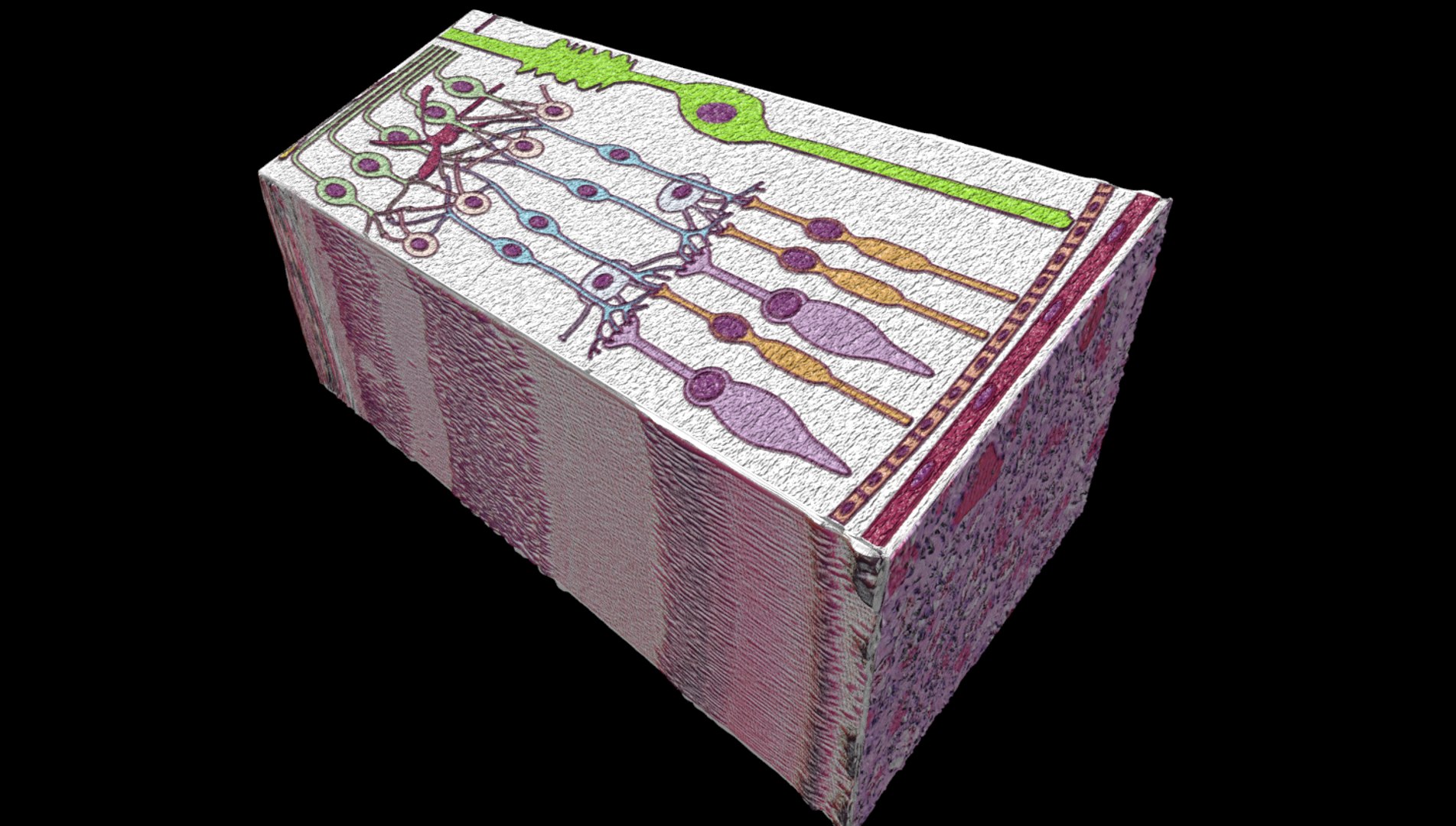 3D Model Microscopic Retina Layers - TurboSquid 1501500