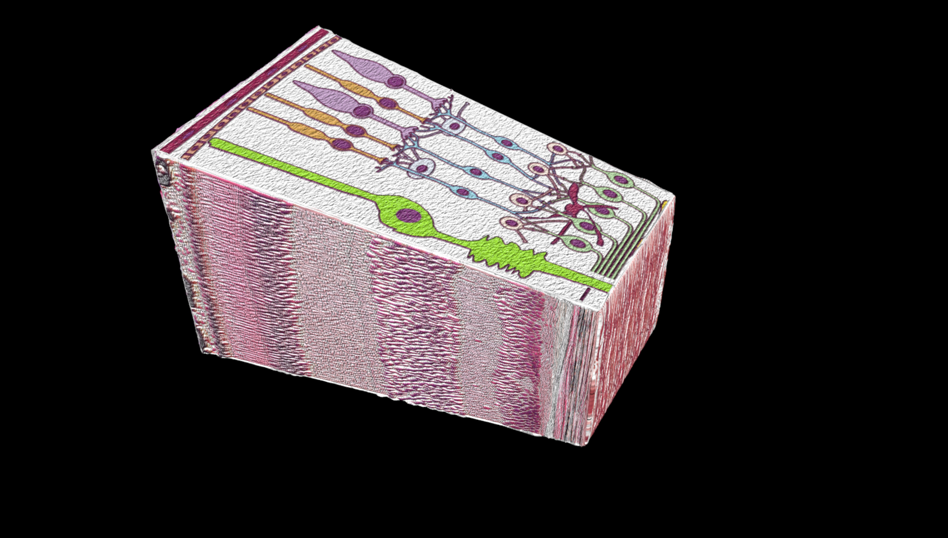 3D Model Microscopic Retina Layers - TurboSquid 1501500