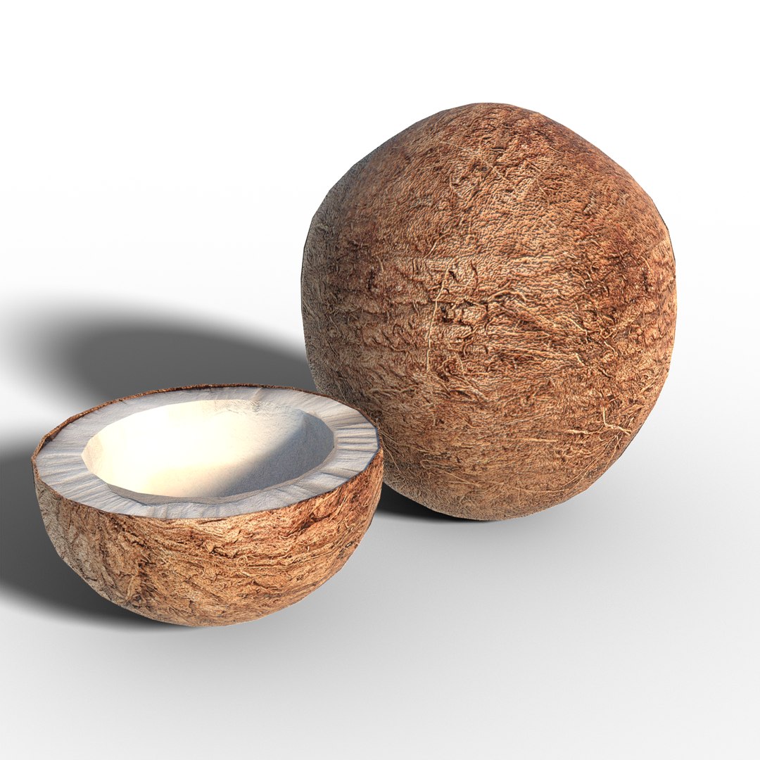 Coconut 3D Model - TurboSquid 2086120