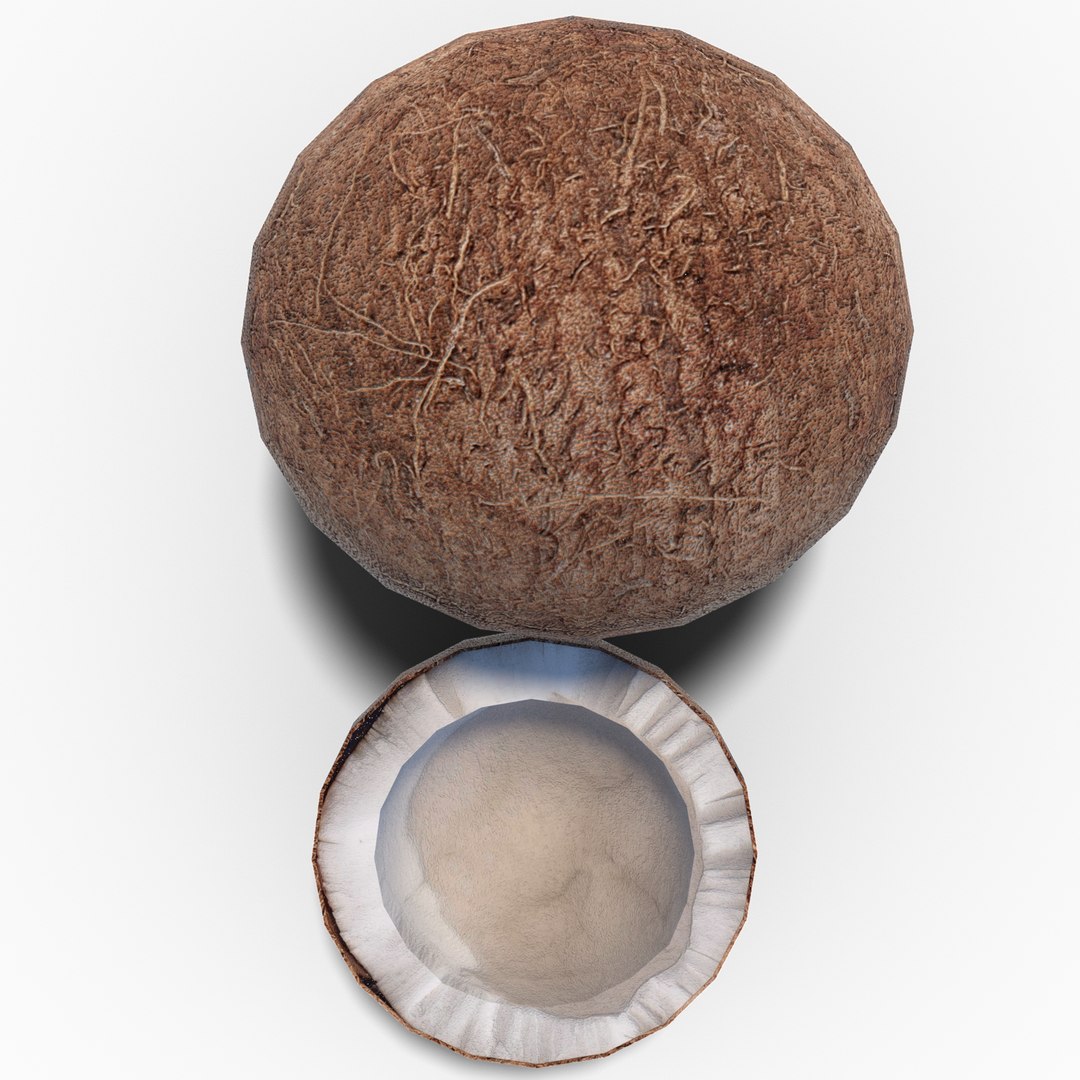 Coconut 3D Model - TurboSquid 2086120