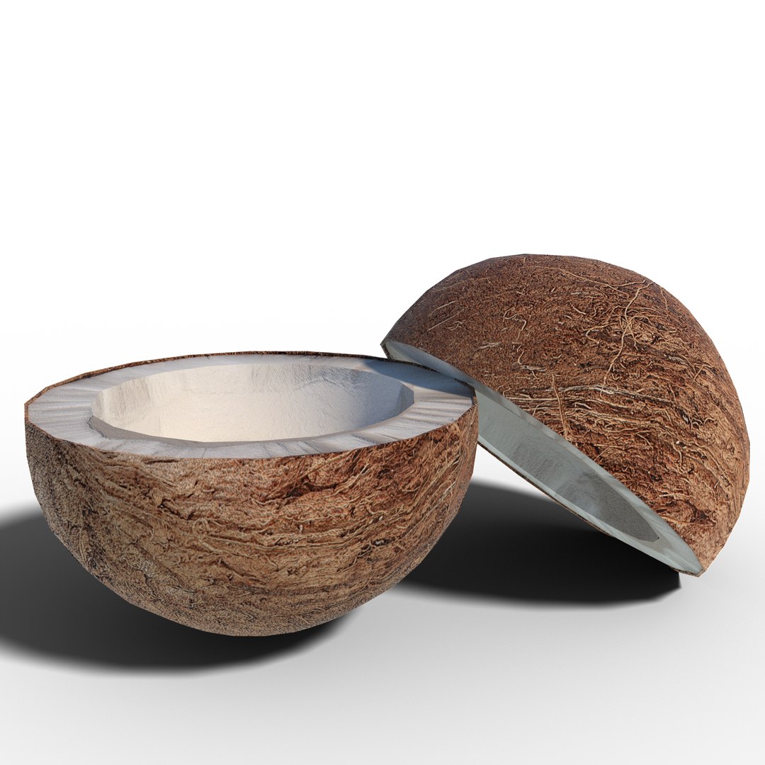 Coconut 3D Model - TurboSquid 2086120