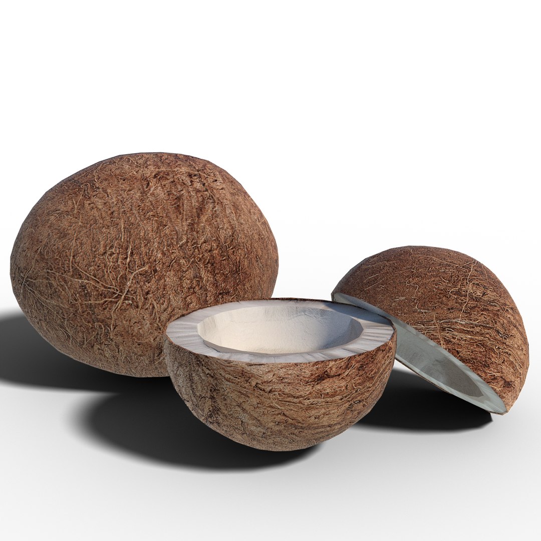 modelo 3d Coconut - TurboSquid 2086120
