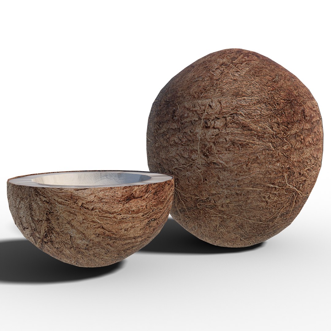 Coconut 3D Model - TurboSquid 2086120