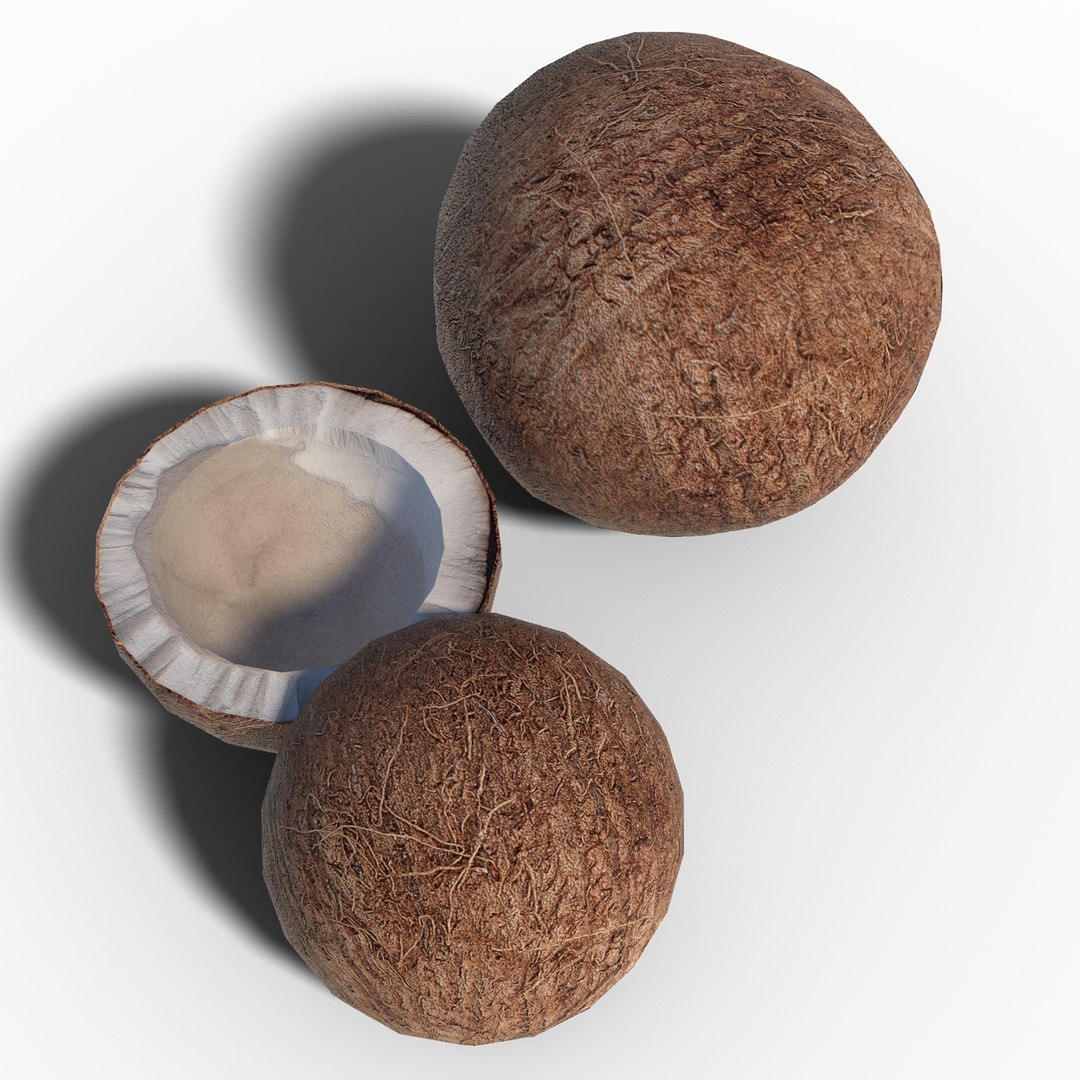 Coconut 3D Model - TurboSquid 2086120