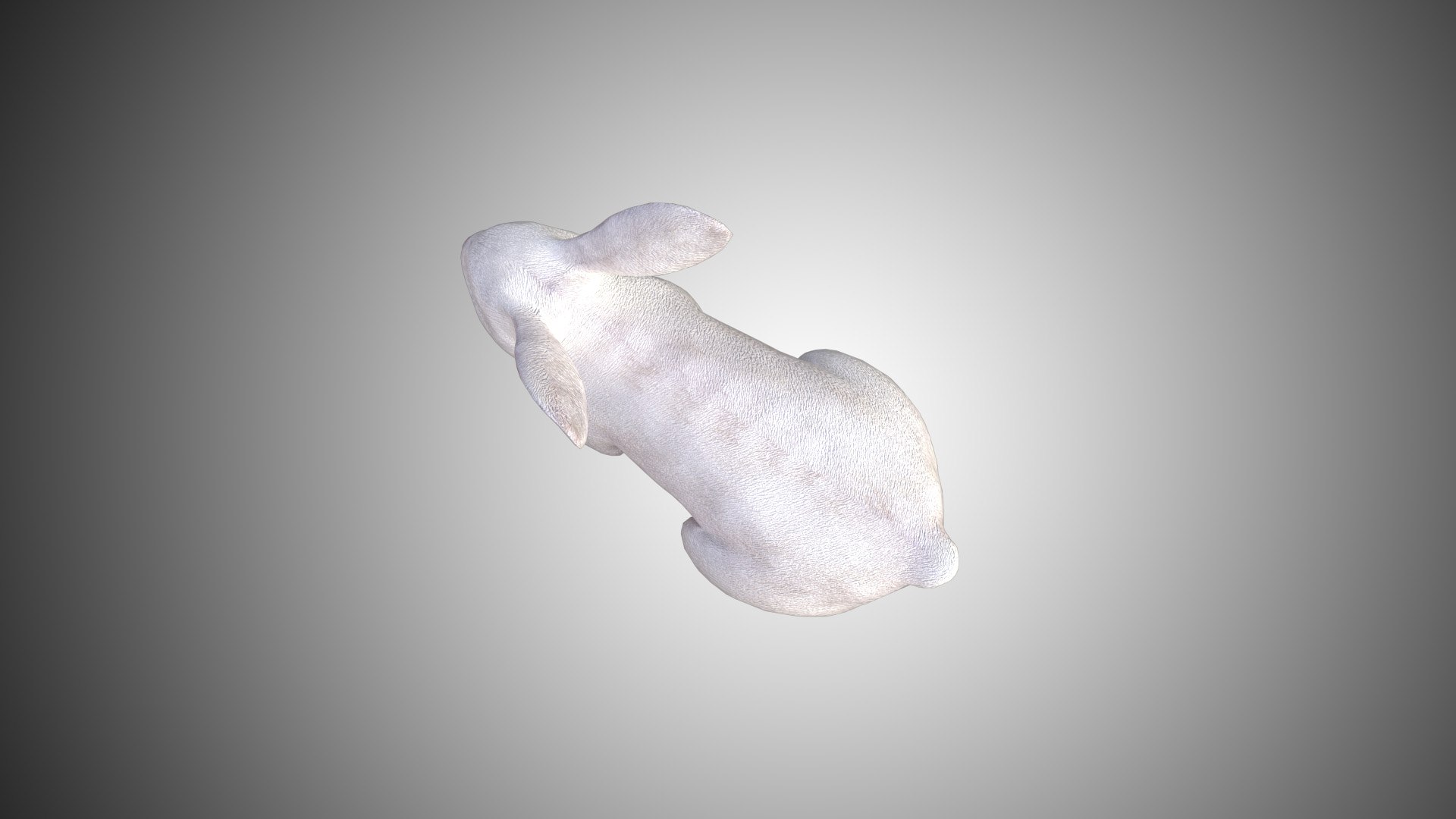 3D White Rabbit Model - TurboSquid 1602082