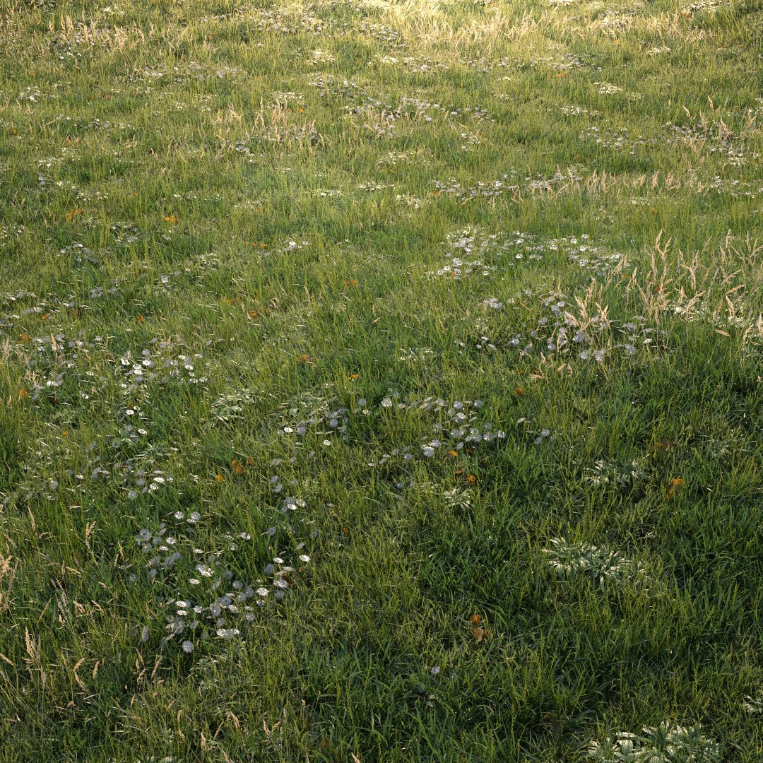 Grass assets meadows model - TurboSquid 1306909