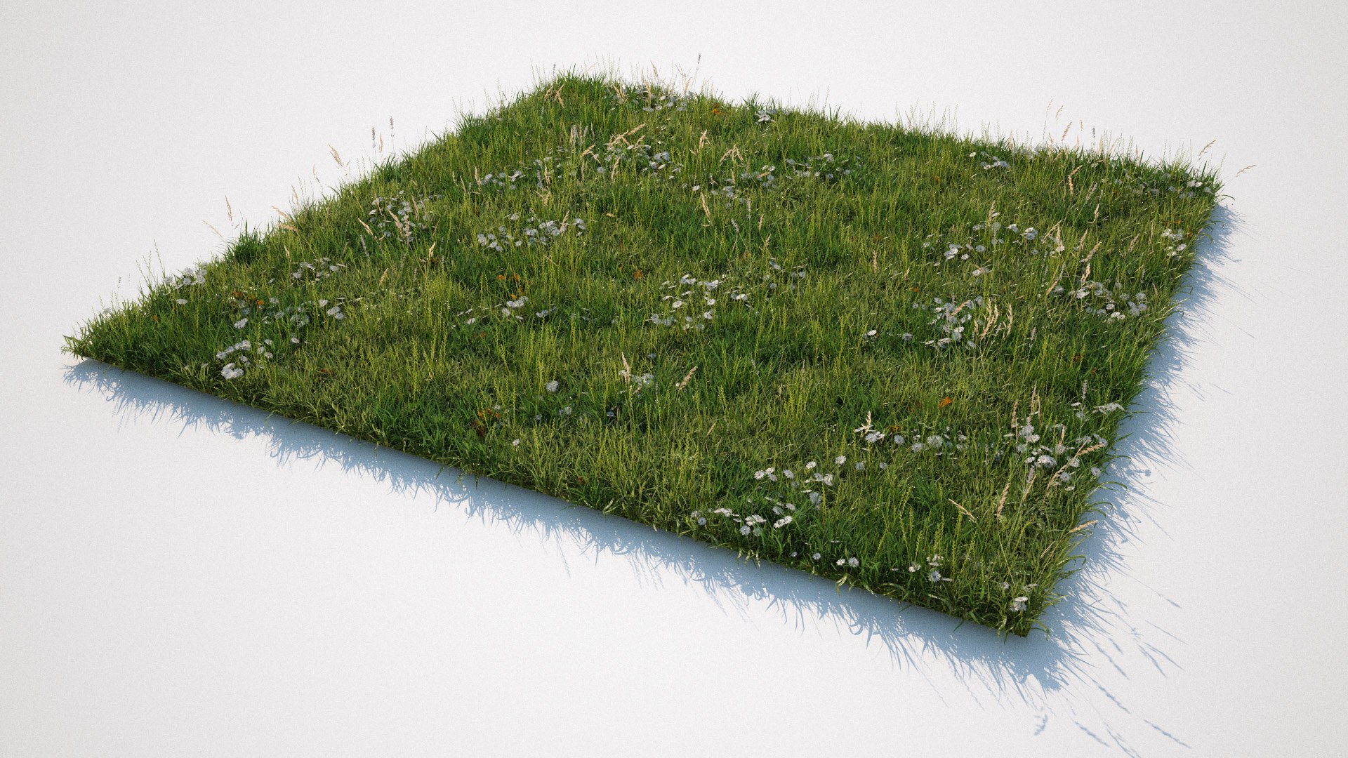 Grass Assets Meadows Model - TurboSquid 1306909