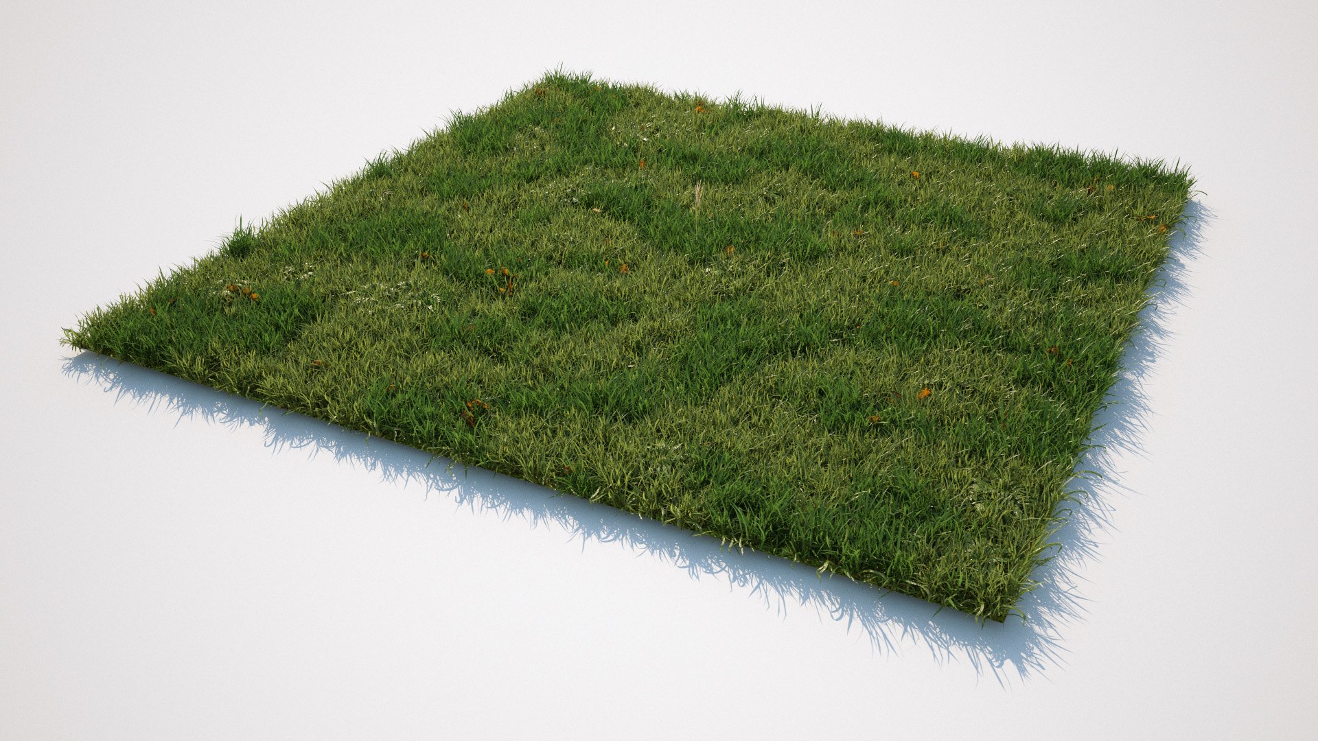 Grass Assets Meadows Model - TurboSquid 1306909