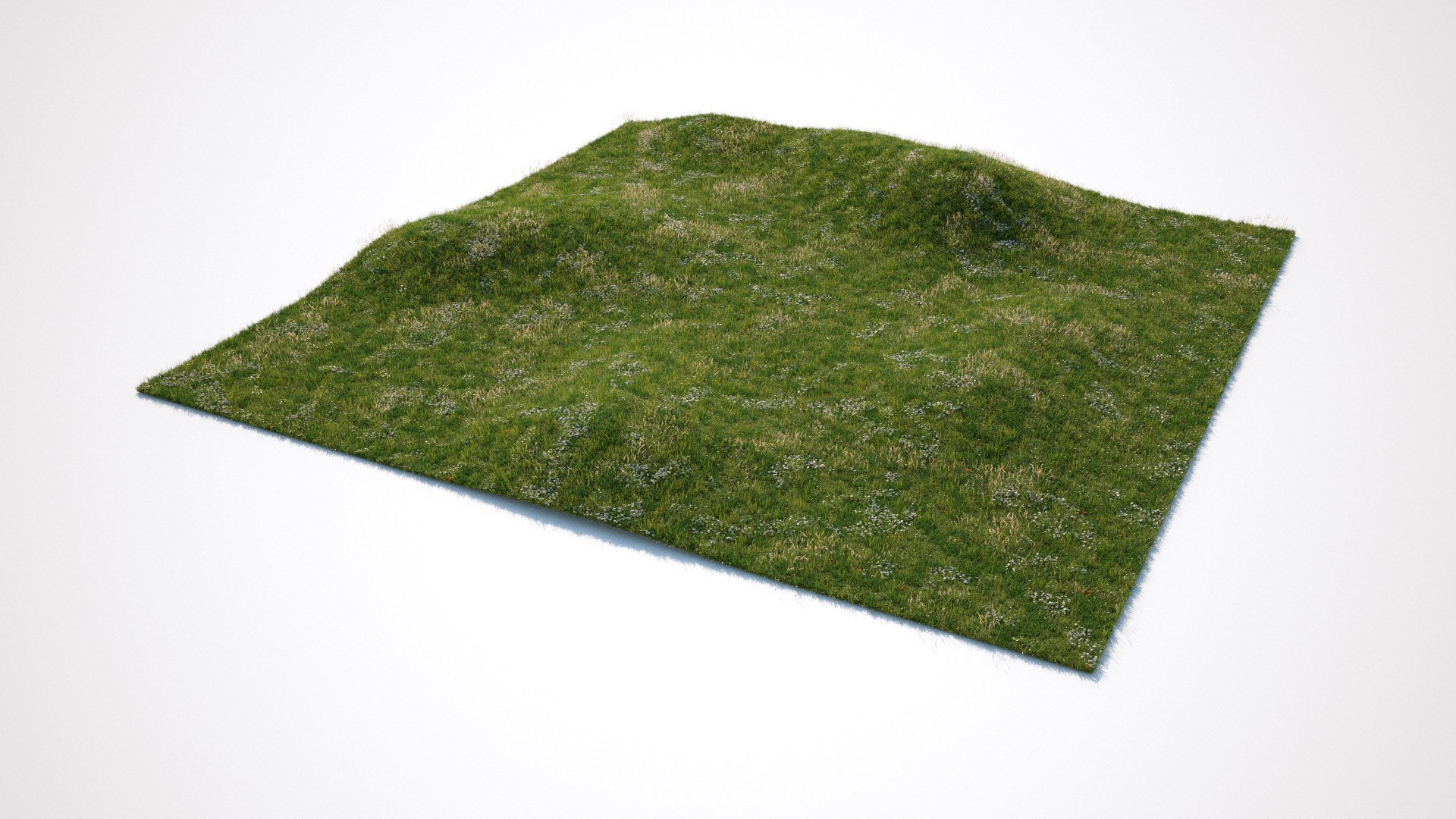 Grass Assets Meadows Model - TurboSquid 1306909