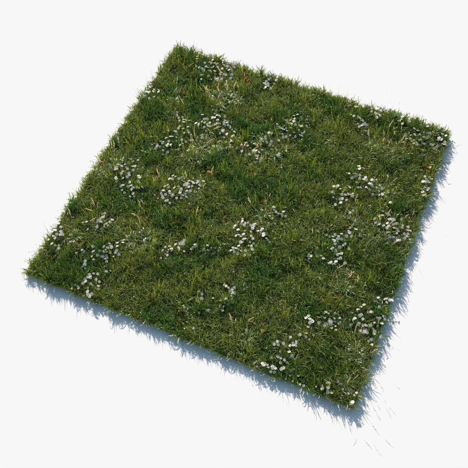 Grass assets meadows model - TurboSquid 1306909