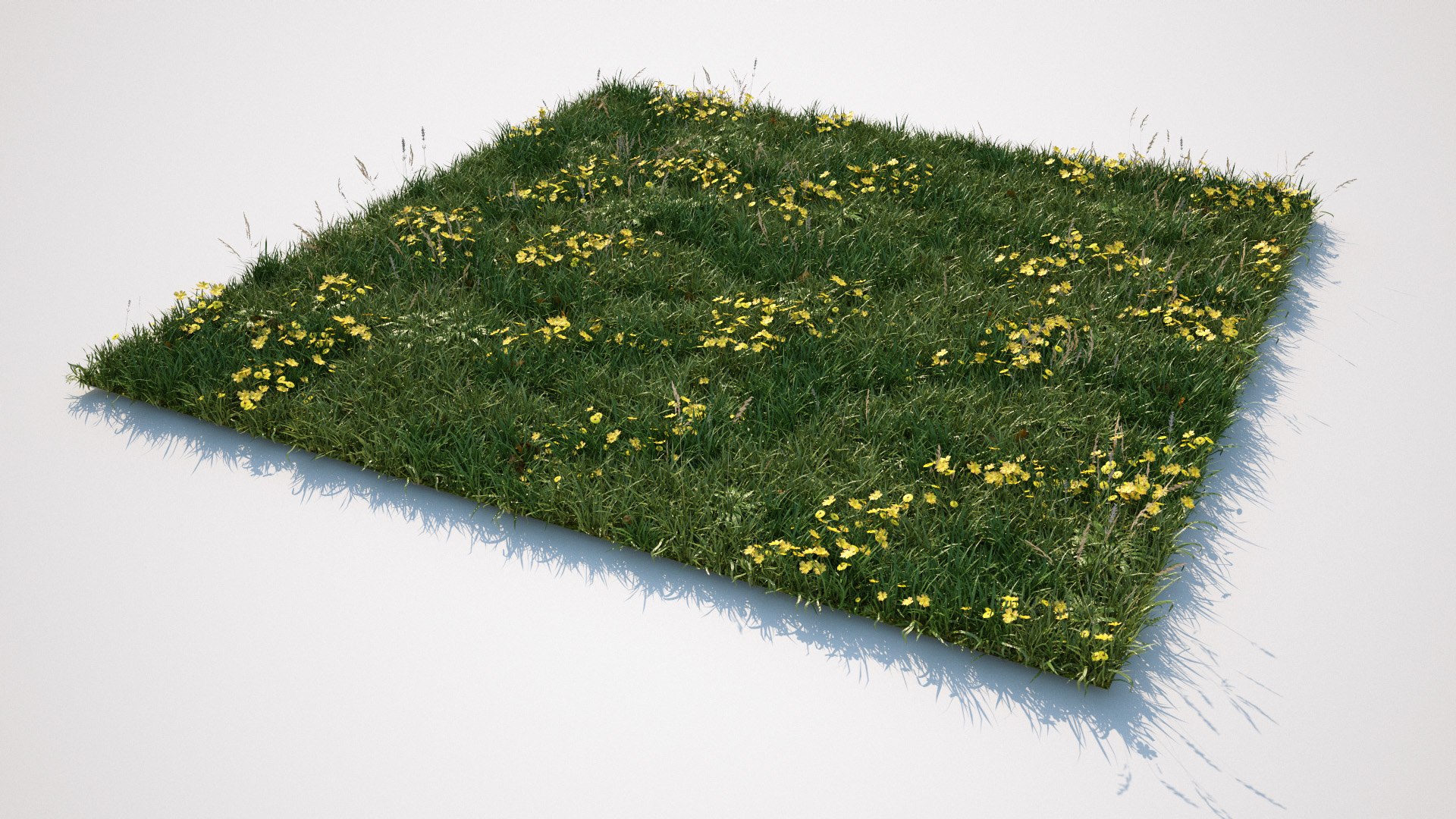 Grass Assets Meadows Model - TurboSquid 1306909