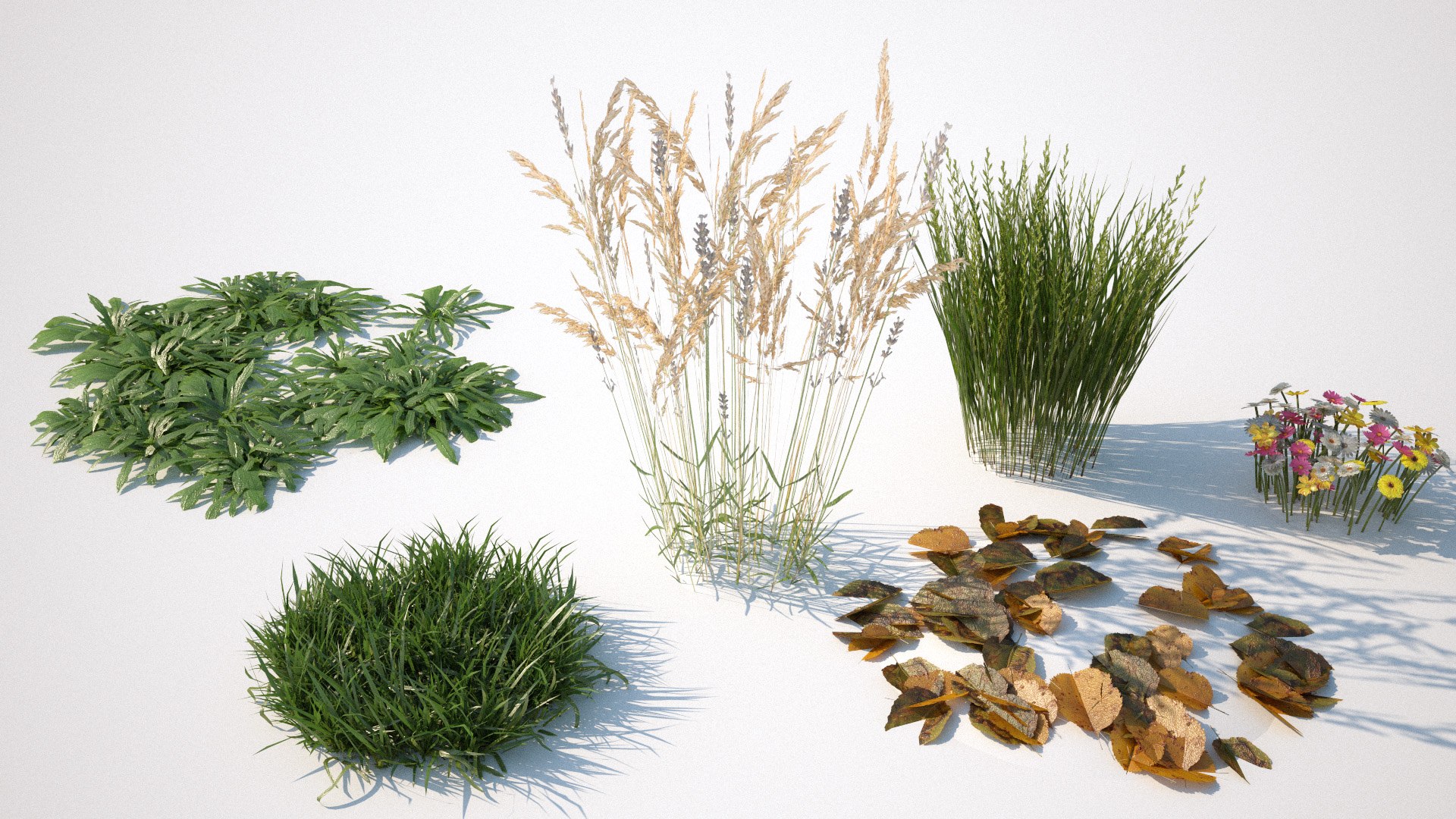 Grass Assets Meadows Model - TurboSquid 1306909