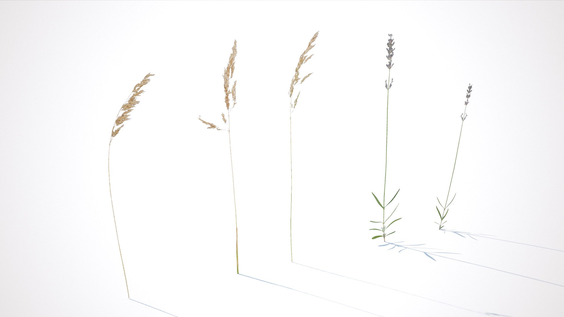 Grass Assets Meadows Model - TurboSquid 1306909