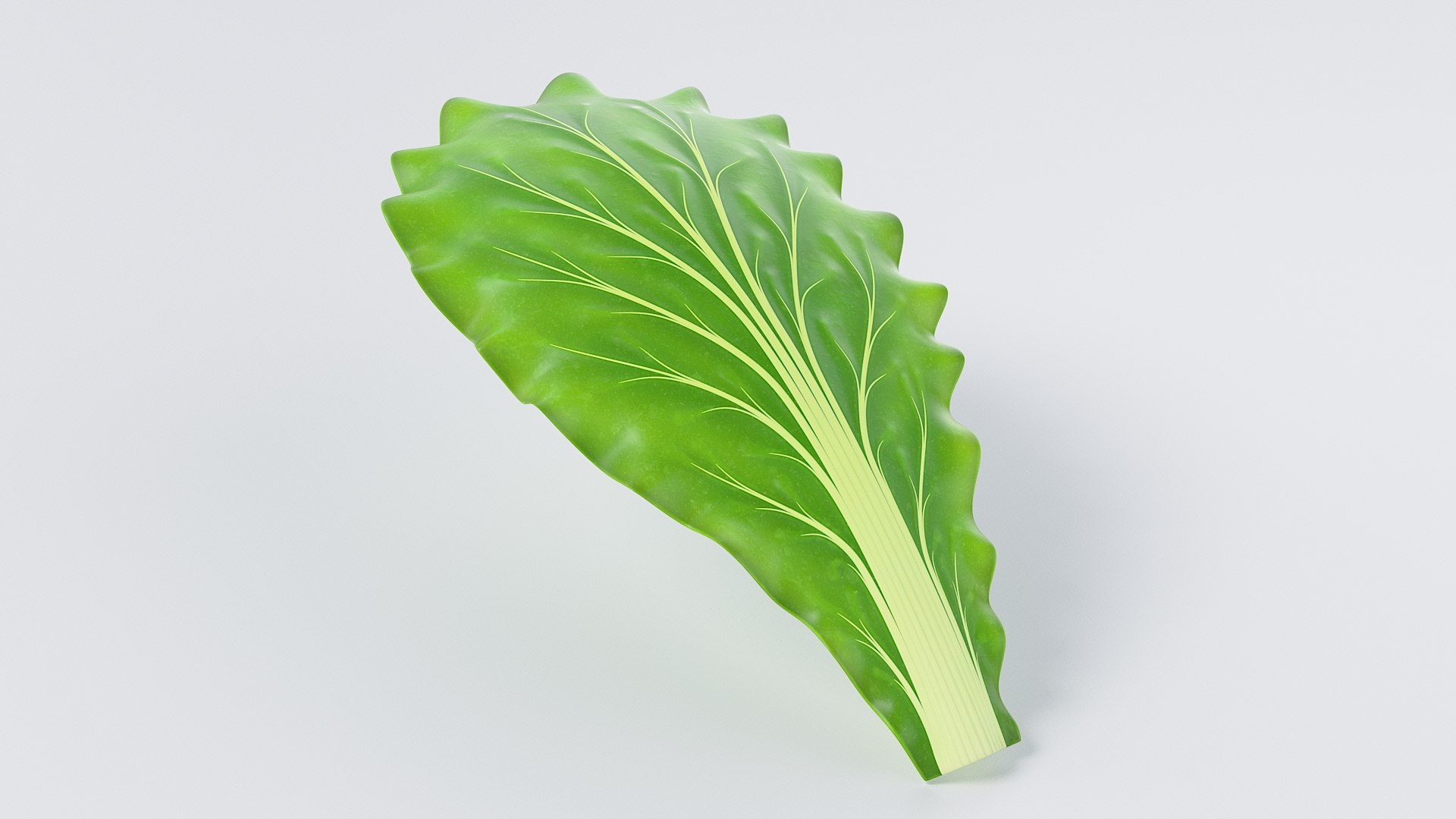 Cartoon Lettuce 3D model - TurboSquid 2079475