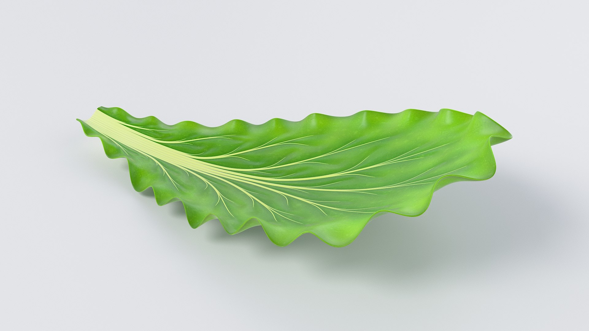 Cartoon Lettuce 3D model - TurboSquid 2079475