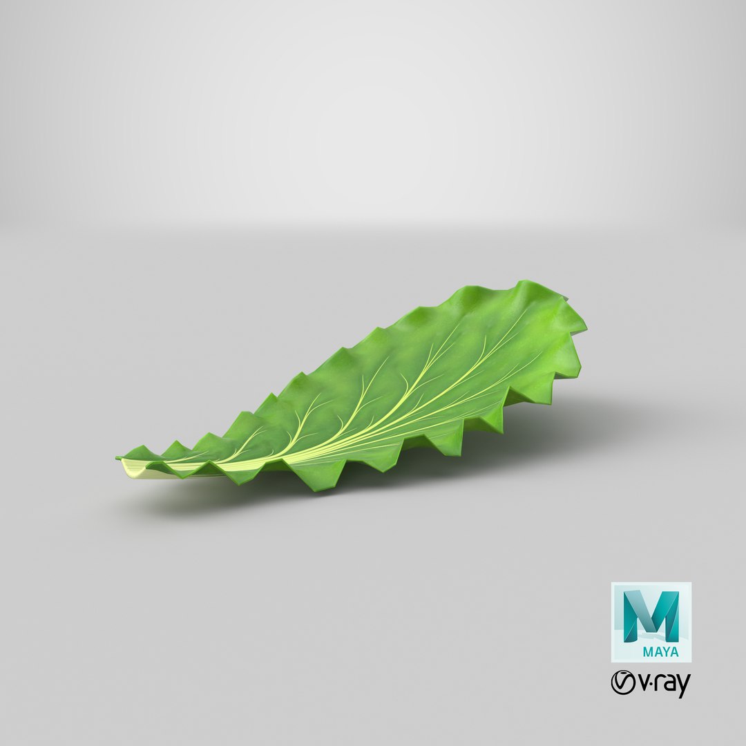 Cartoon Lettuce 3D model - TurboSquid 2079475