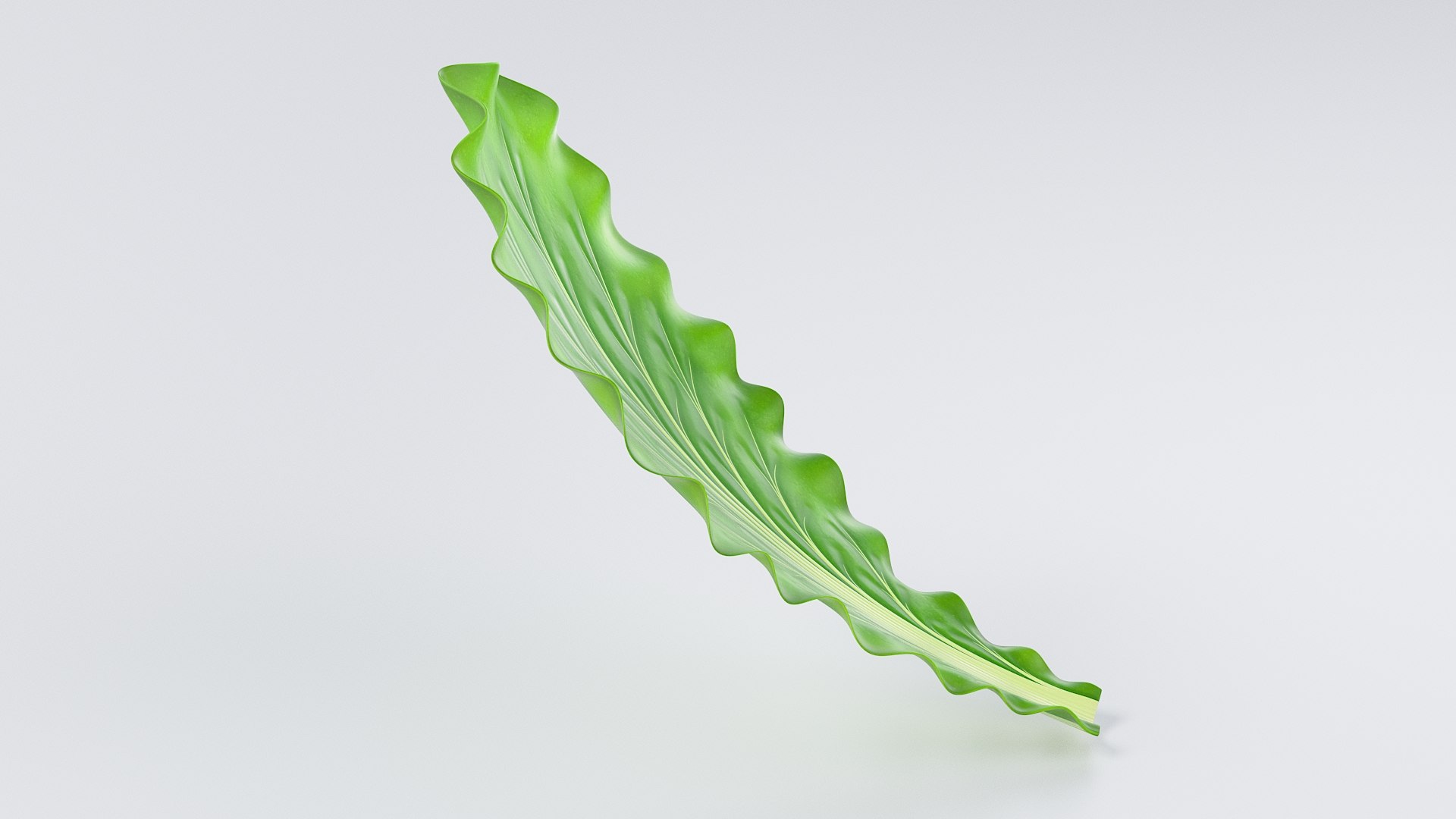 Cartoon Lettuce 3D model - TurboSquid 2079475