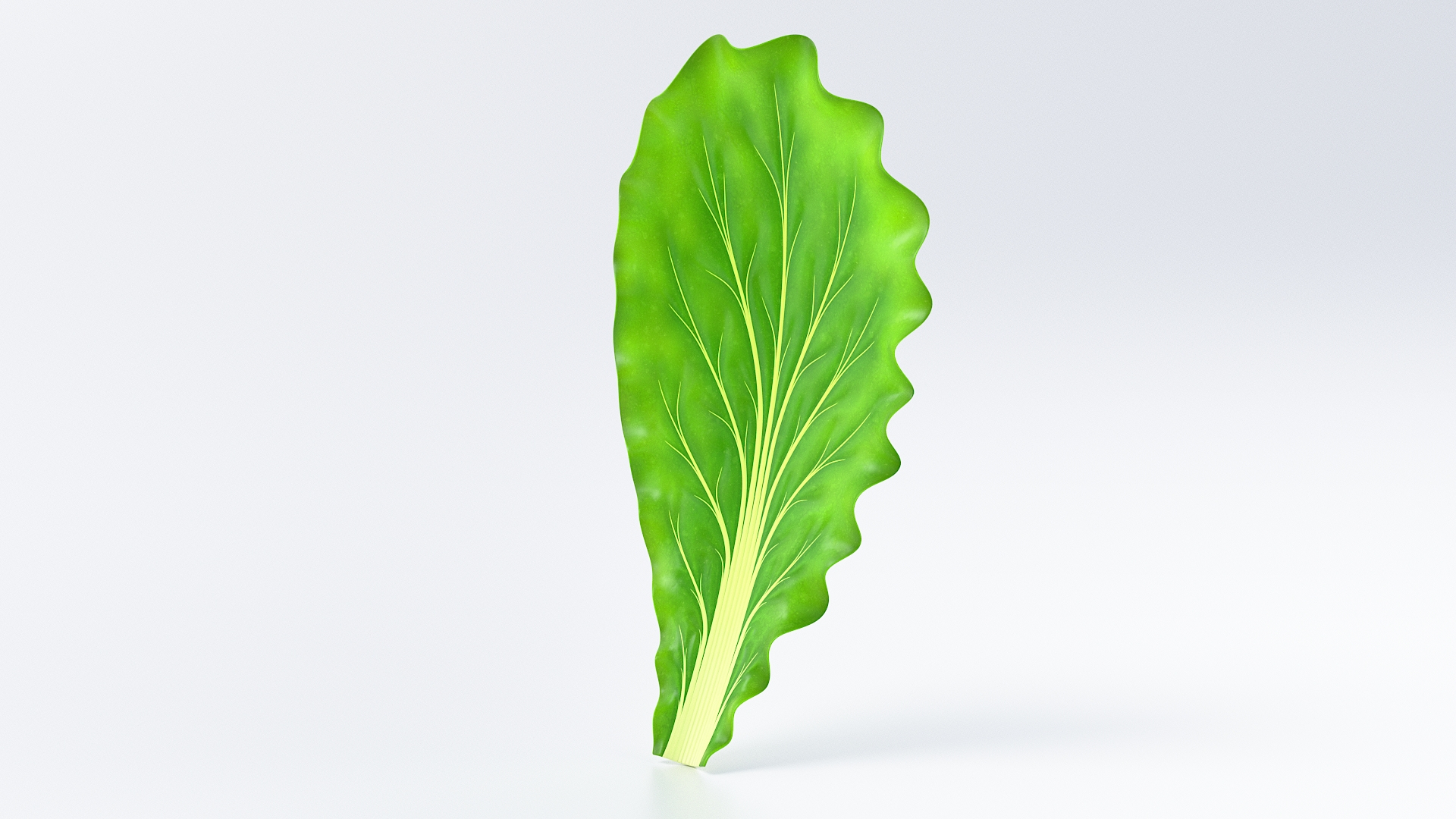 Cartoon Lettuce 3D model - TurboSquid 2079475