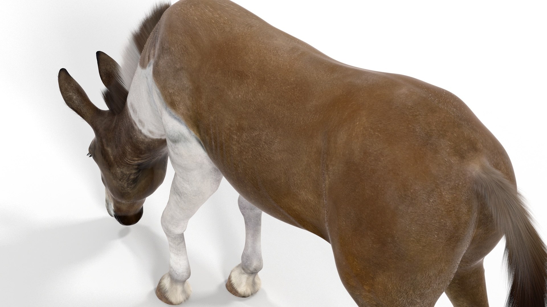 3D Eating Mule Fur - TurboSquid 2280765