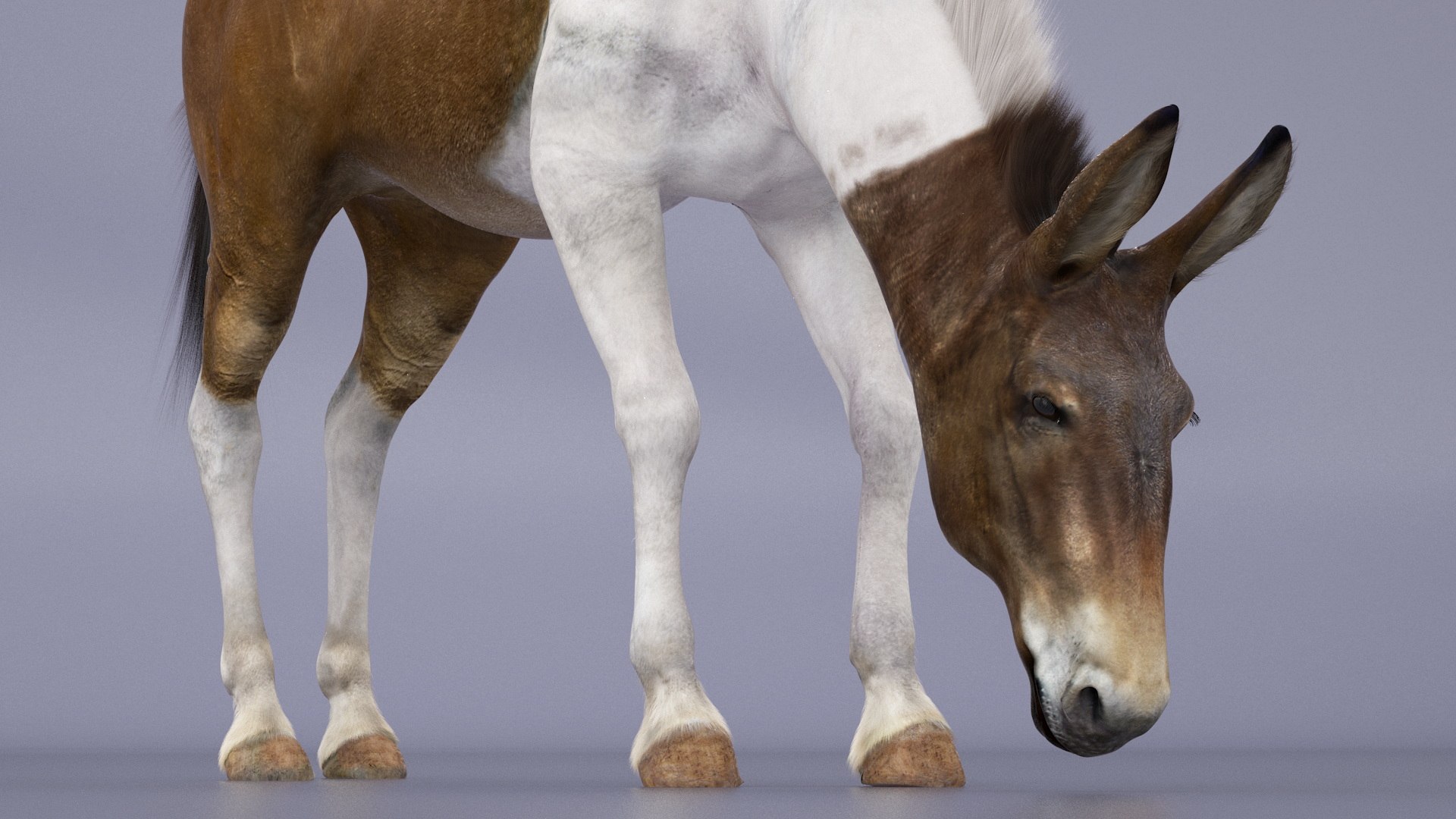 3D Eating Mule Fur - TurboSquid 2280765