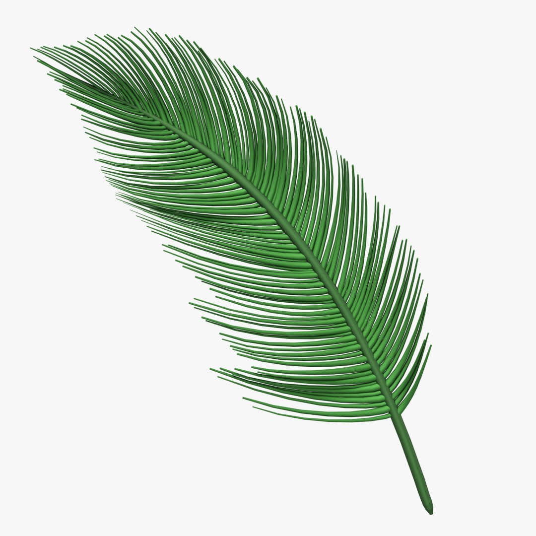 3D Feather - TurboSquid 1849184