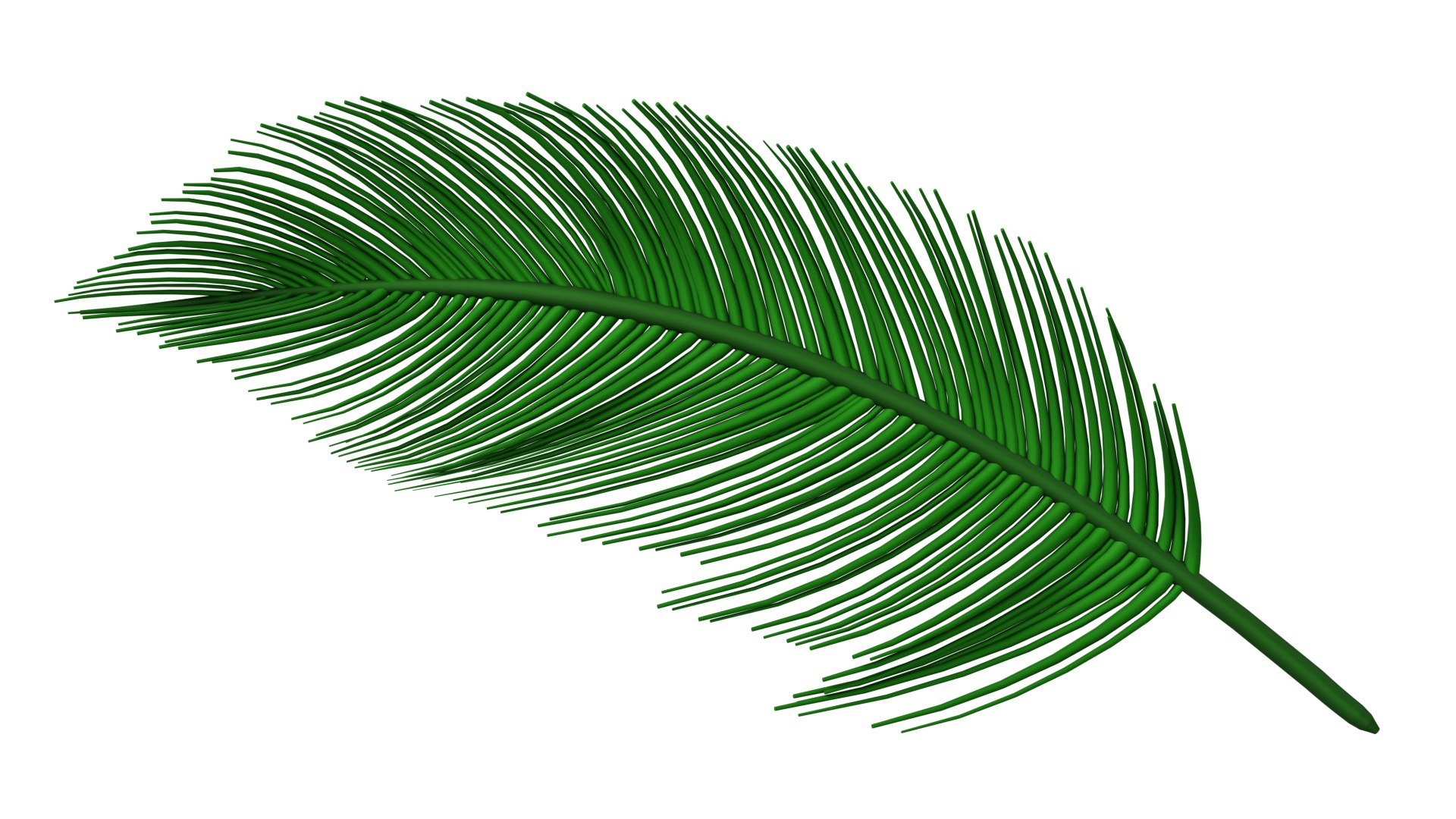 3D Feather - TurboSquid 1849184