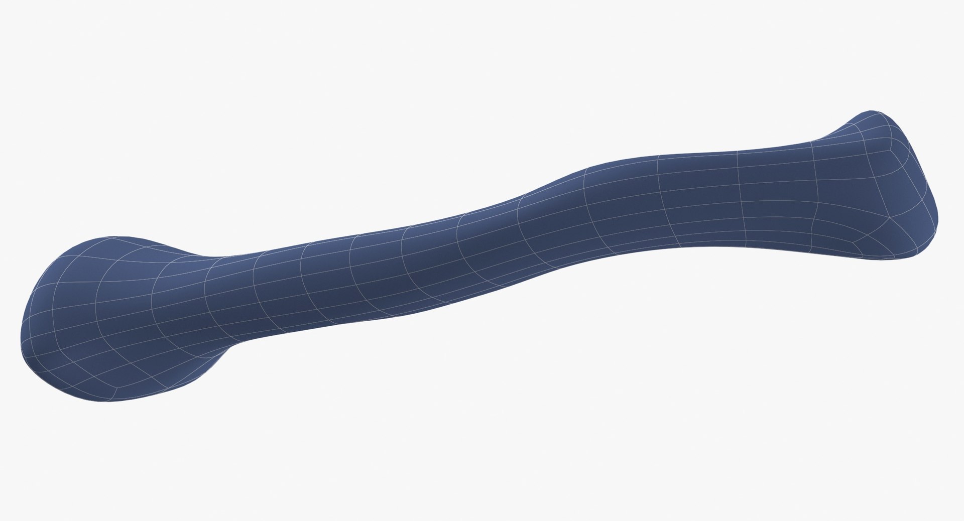 3D Model Pavian Monkey Male Calvicle - TurboSquid 1573980