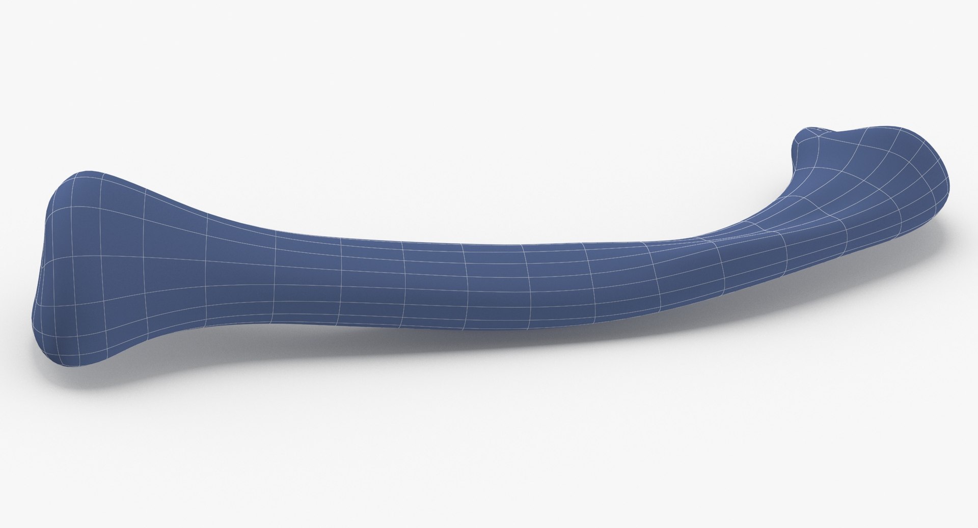 3D Model Pavian Monkey Male Calvicle - TurboSquid 1573980