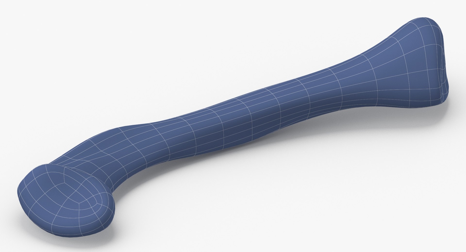 3D Model Pavian Monkey Male Calvicle - TurboSquid 1573980