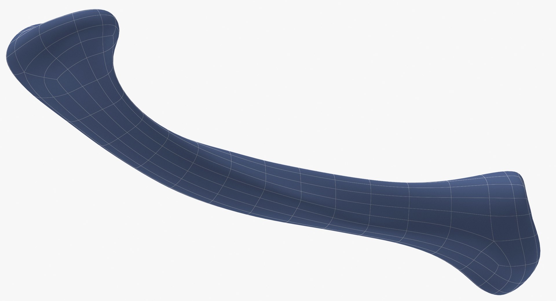 3D Model Pavian Monkey Male Calvicle - TurboSquid 1573980