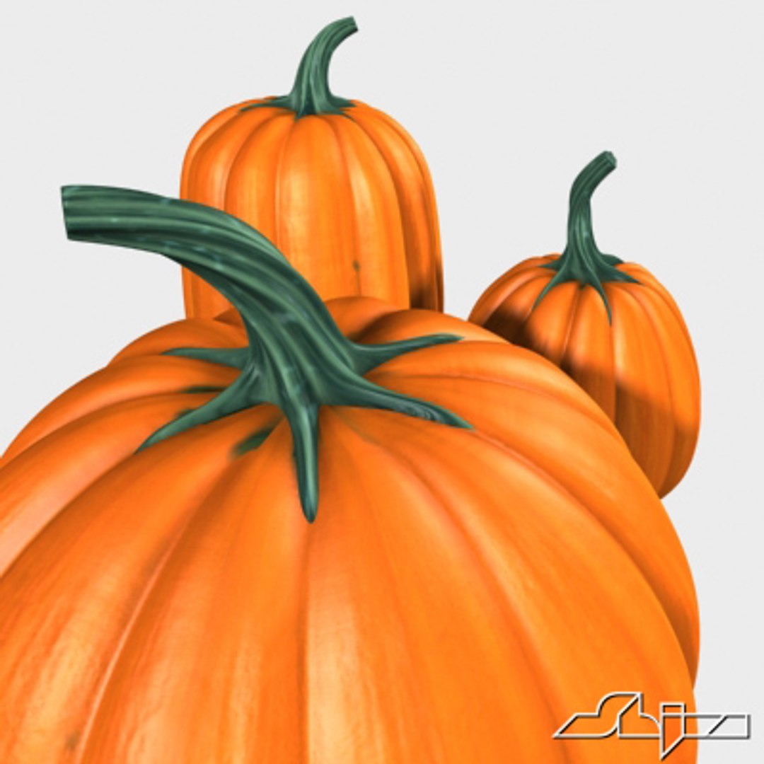 3d model pumpkins
