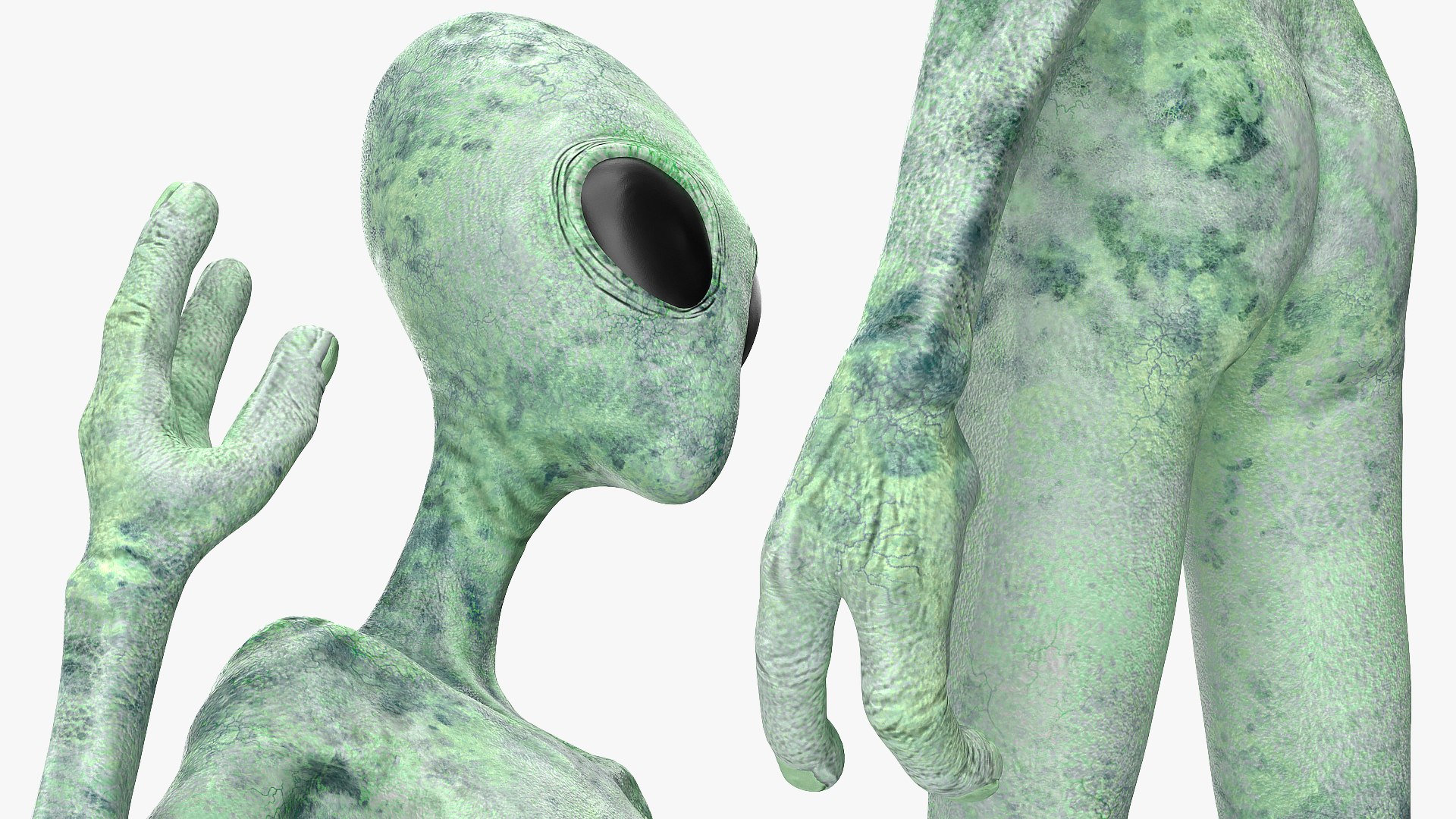 Free 3D Model Green Alien Greeting Pose - TurboSquid 1627710