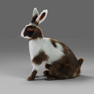 Rabbit Blender Models for Download | TurboSquid