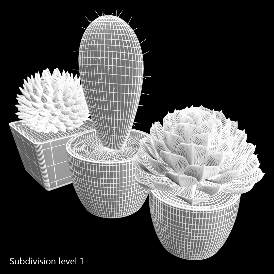 c4d cactus vrayfor planter