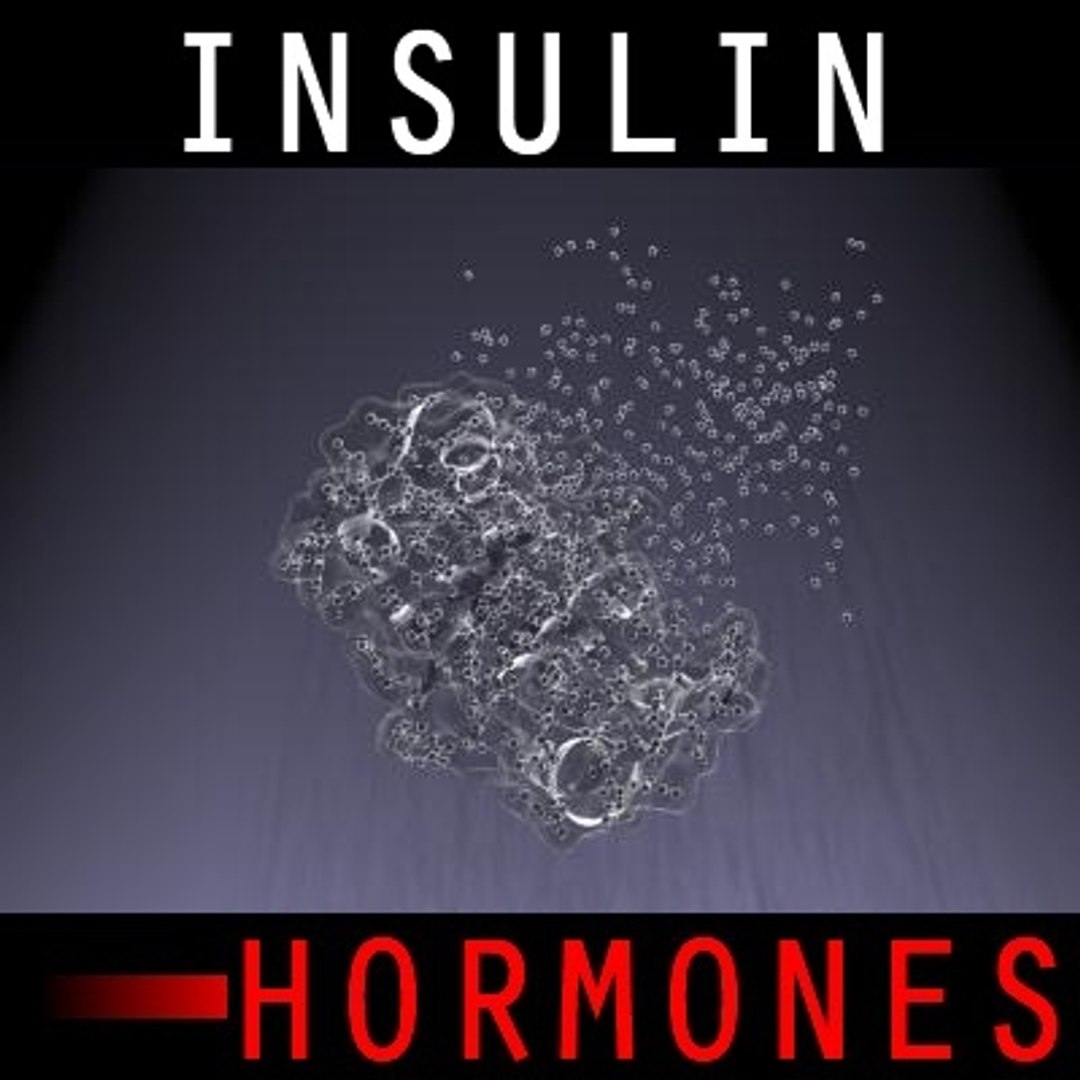 Insulin Body Cells 3d Model