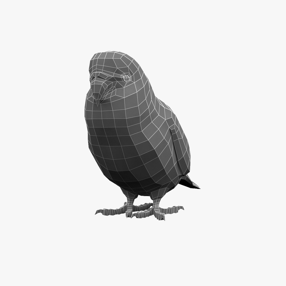 Eastern Rosella Bird 3d Model