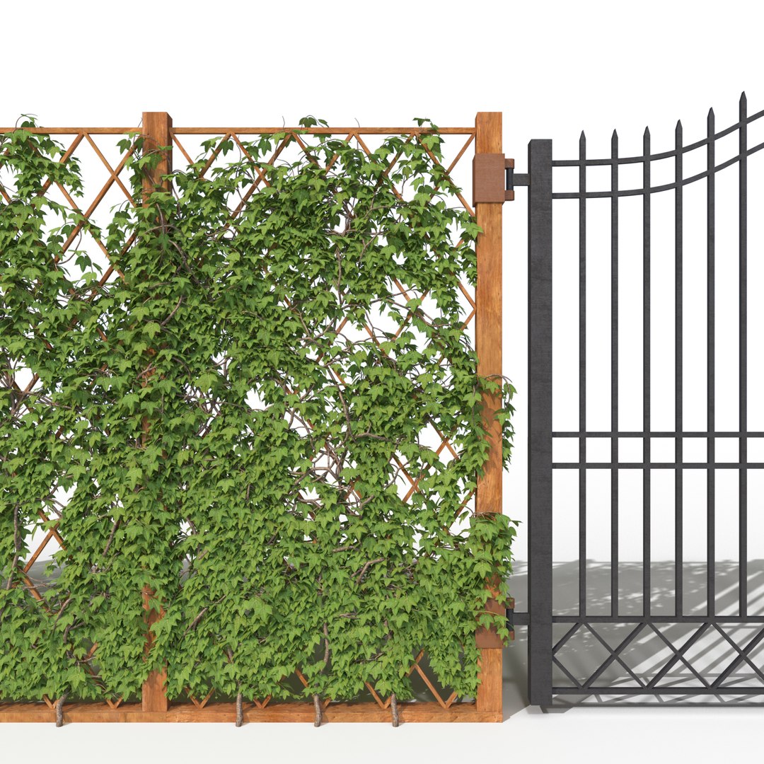 Ivy Fence Gate 3D - TurboSquid 1538245