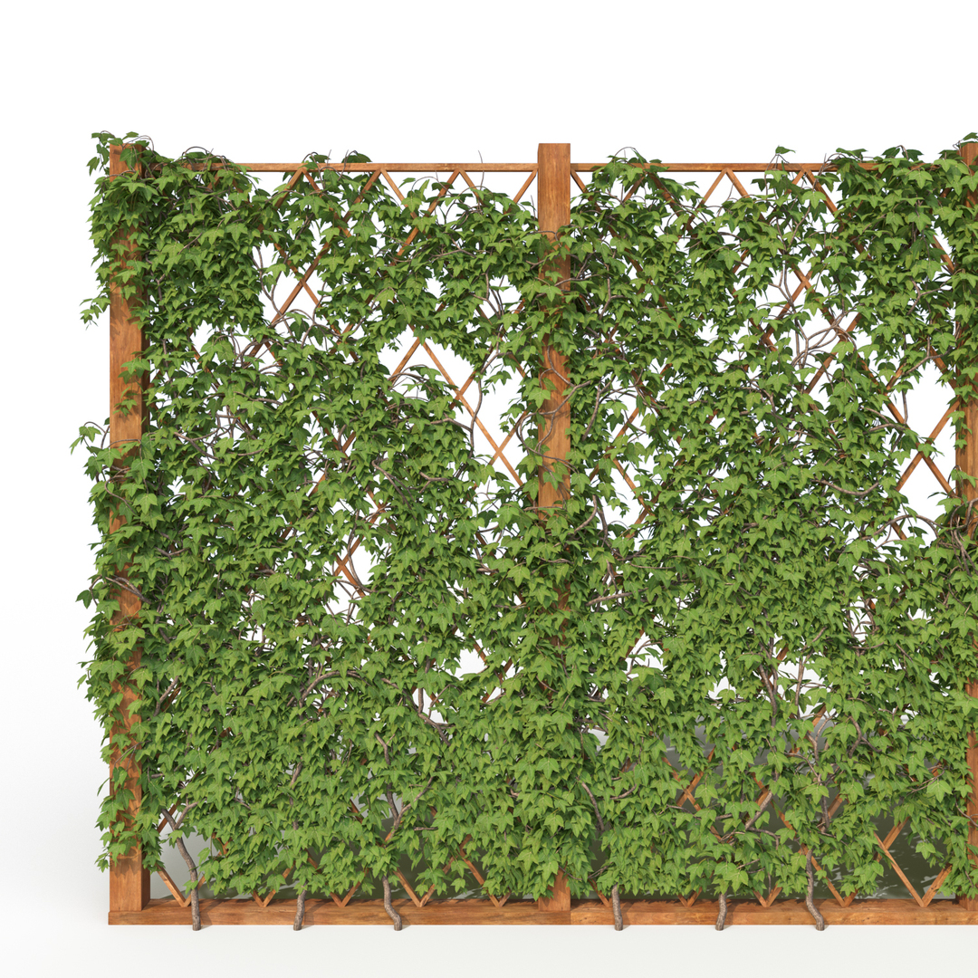 Ivy Fence Gate 3D - TurboSquid 1538245