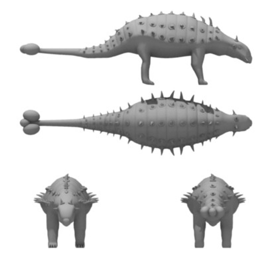 Euoplocephalus 3d Model